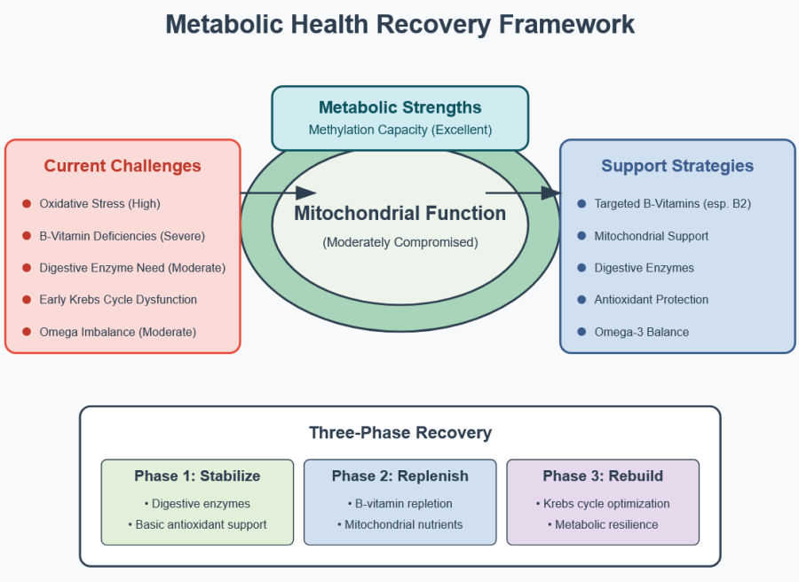 Metabolomix+ Review: My Full Test Results & What I Discovered – Life ...